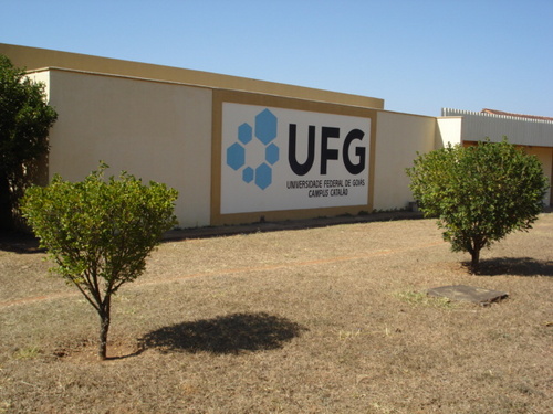Concurso UFG 2020: Edital abre vagas para Professor em Goiânia