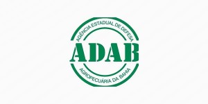 Processo Seletivo IGP SC 2021: Edital abre vagas para nível médio