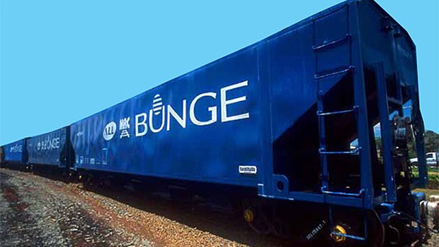 Bunge abre 227 vagas de emprego no Brasil e em outros países