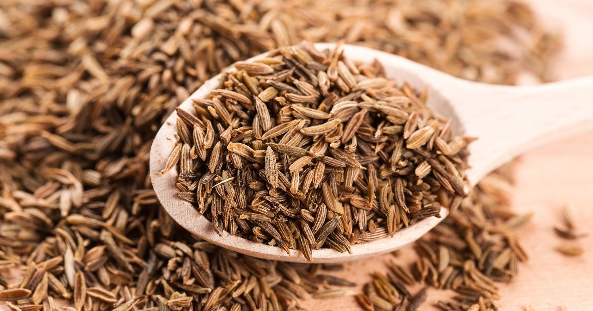 Quais os benefícios do cominho e como usá-lo?