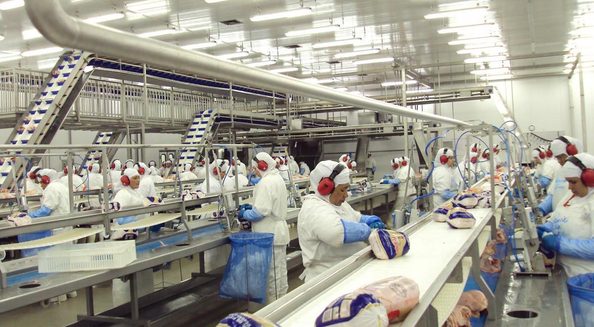 JBS e Swift abrem mais de 50 vagas de emprego em vários estados