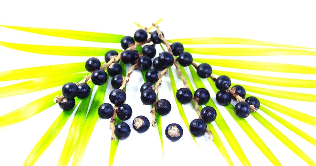 Descubra o que é o tal do café de açaí e quais os benefícios