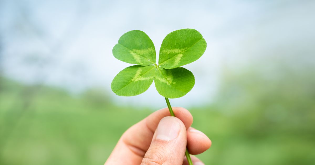 Sorte e prosperidade: descubra o ritual de cada signo para atrair sucesso