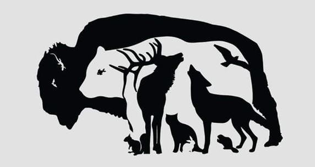 Novo teste de imagem: o mais difícil do momento, saiba como fazer