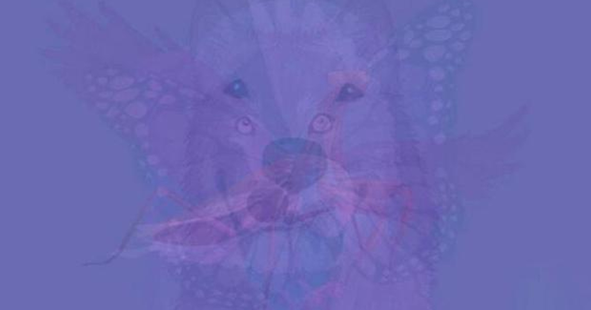 Descubra sua personalidade neste desafio visual incrível