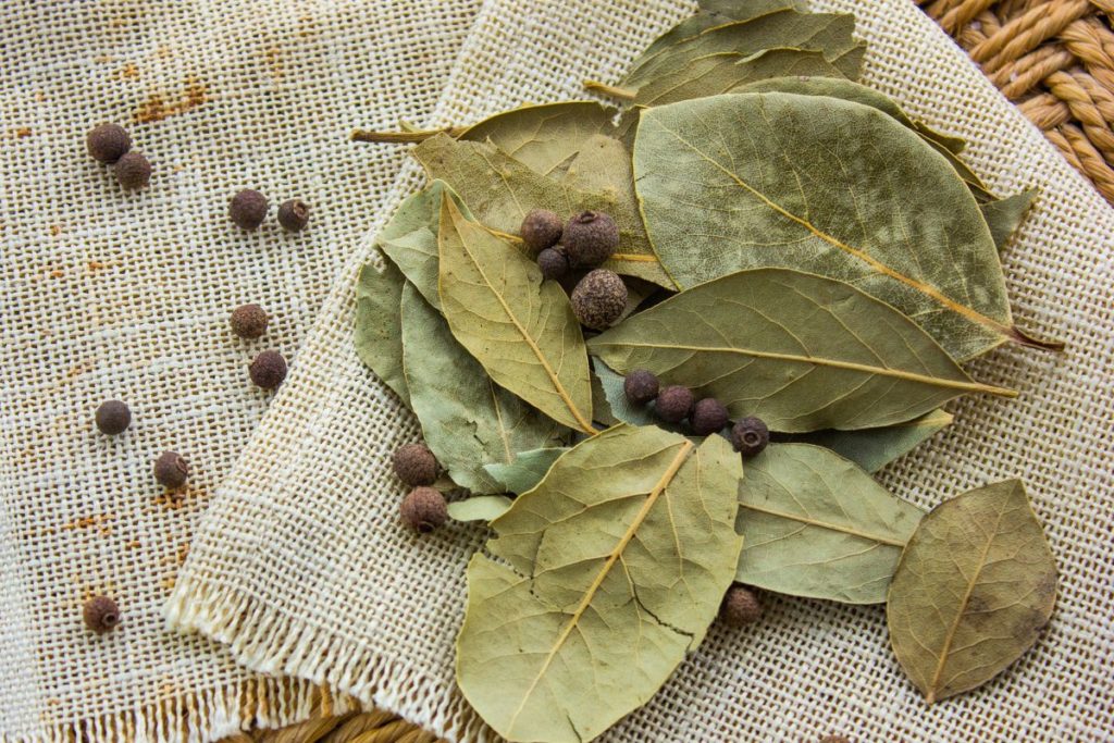 Confira mais de 20 opções de plantas que ajudam a perfumar a cozinha