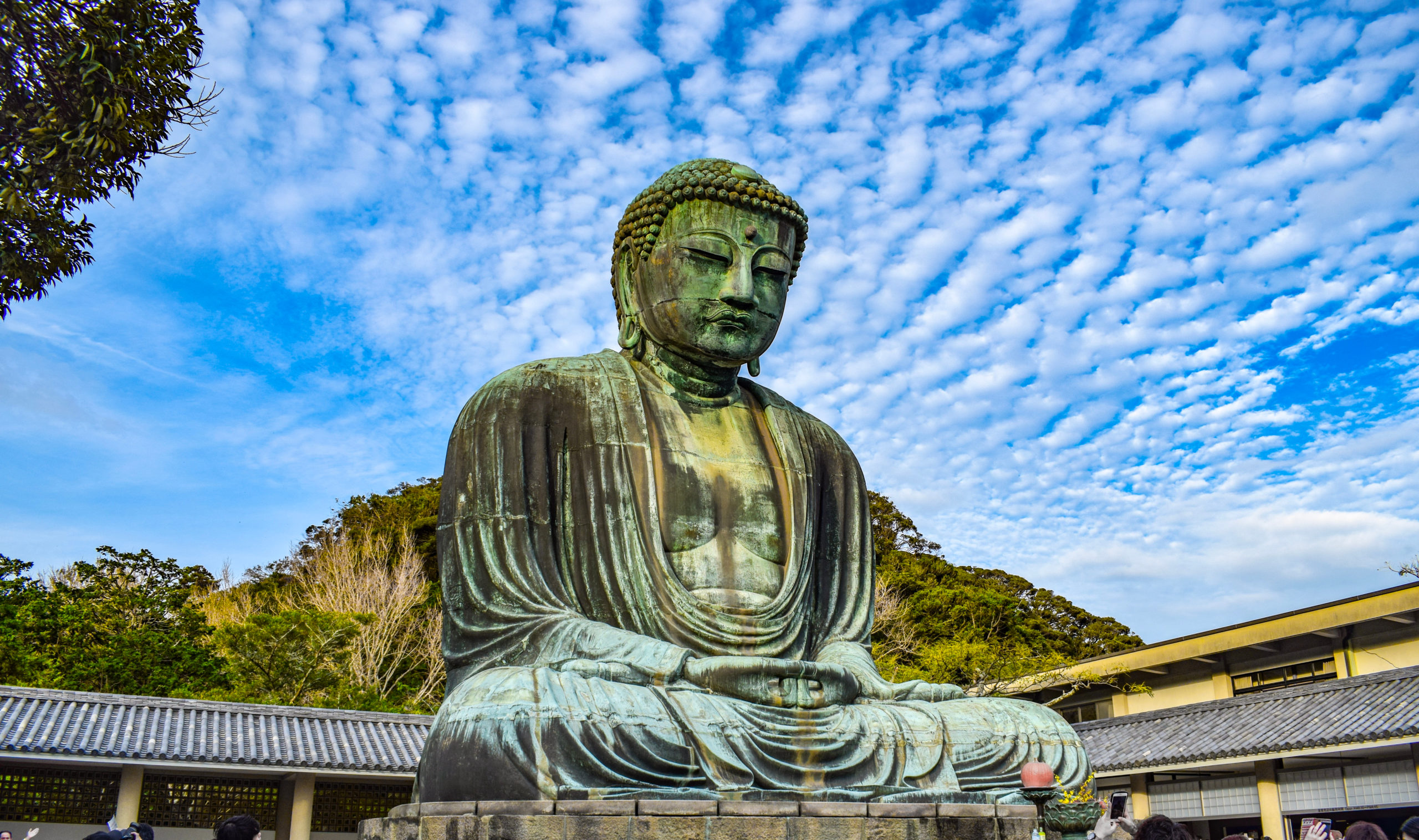 Fuja para as colinas: 3 'amigos' que devemos ter distância, segundo budistas
