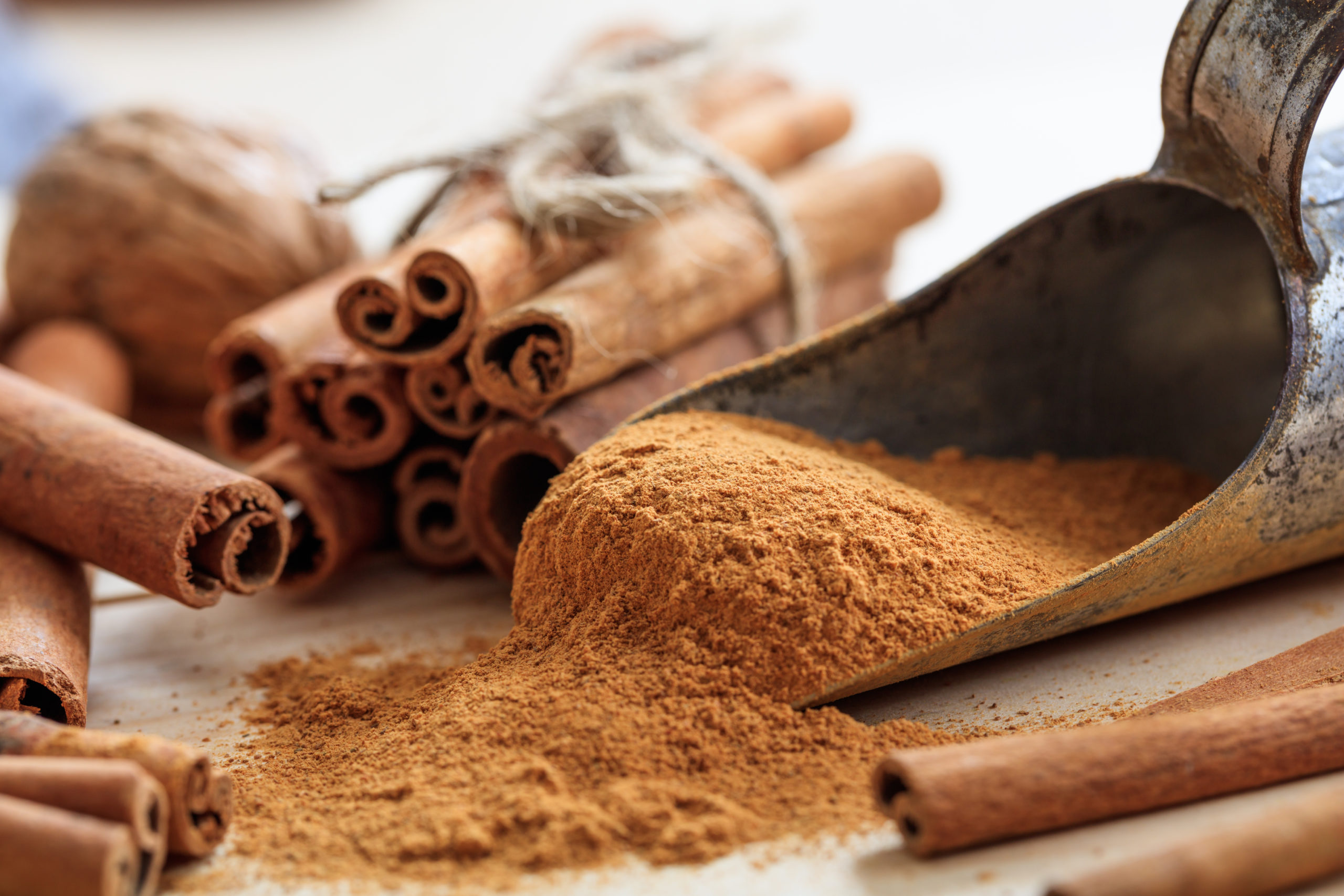 Alerta! Talvez você esteja usando canela FALSA na sua cozinha